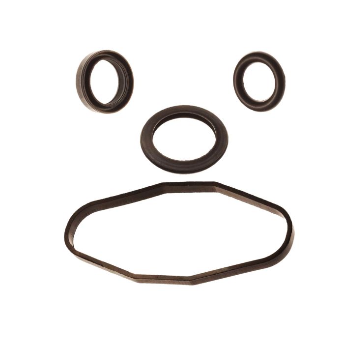 SeaDoo RAVE Valve Repair Rebuild Kit _ Fits 947 951 DI MODELS 3G LRV ...