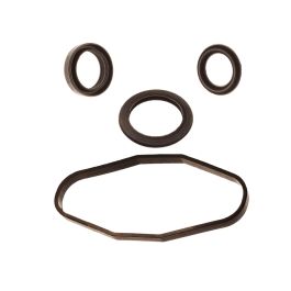 SeaDoo RAVE Valve Repair Rebuild Kit _ Fits 947 951 DI MODELS 3G LRV ...